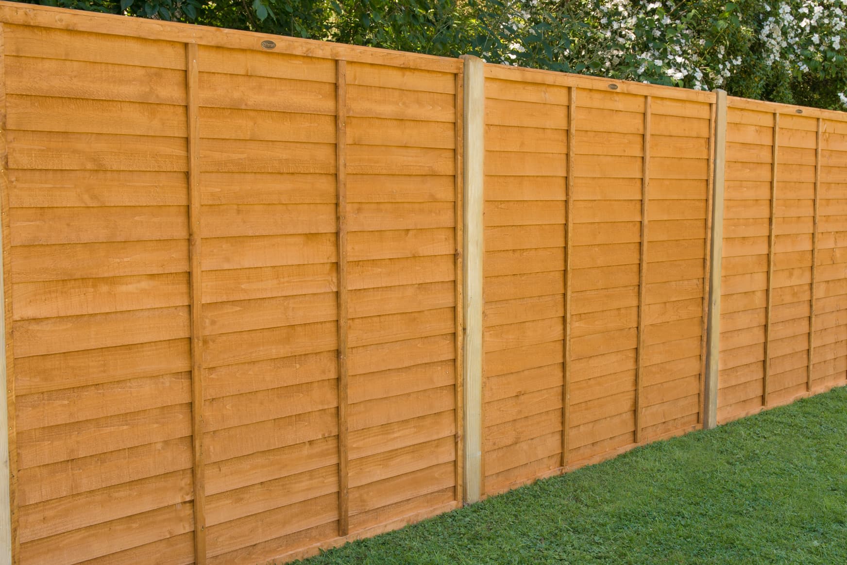 Our Low-Cost, High-Quality Fence Panels for Gardens | B&M Lifestyle