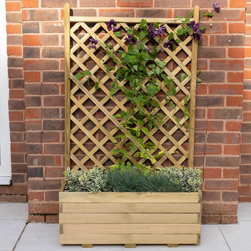 Make Your Garden Bloom with Trellises, Planters & Arches | B&M Lifestyle
