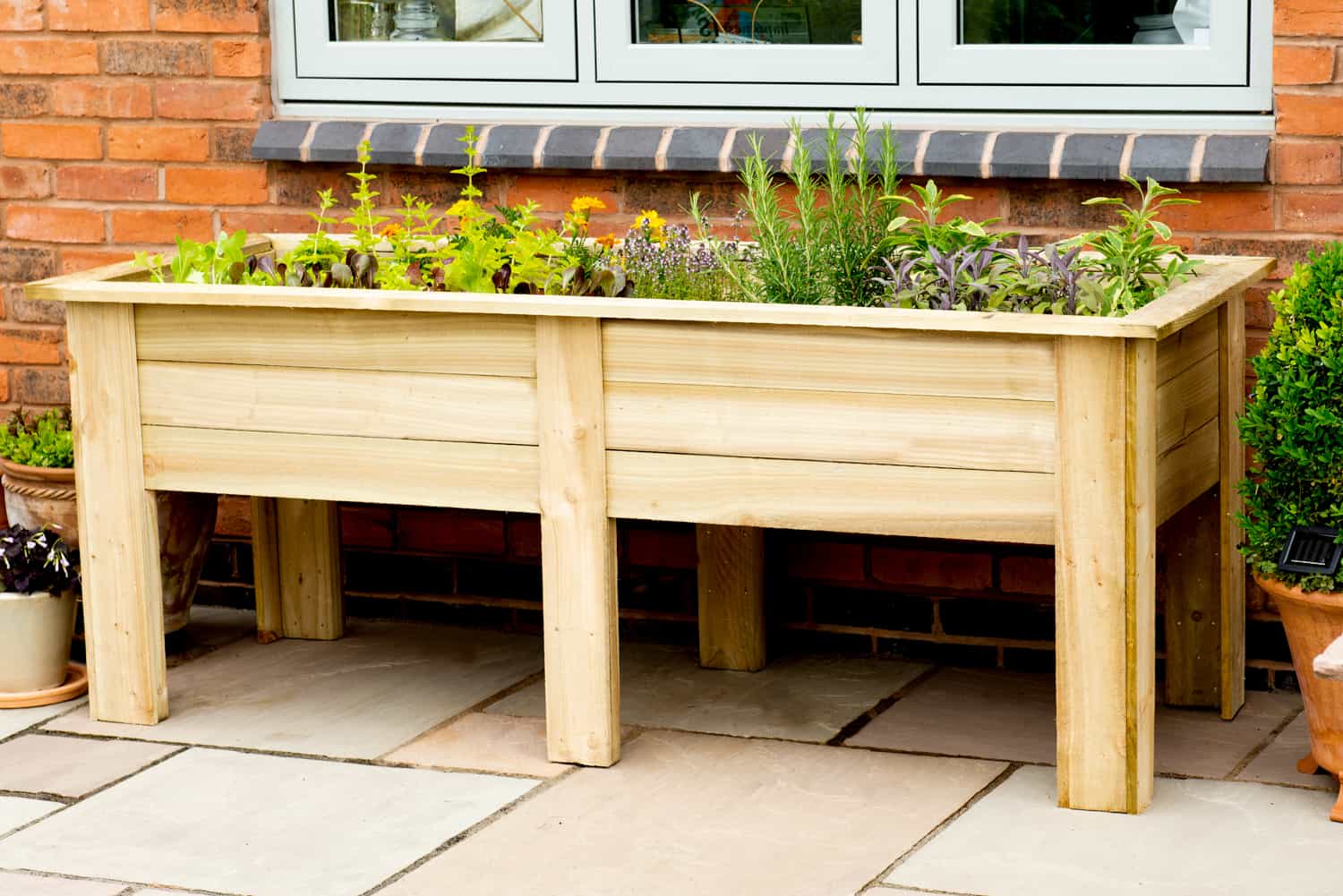 B&M's 3 Favourite Wooden Planters & What to Grow in Them | B&M Stores