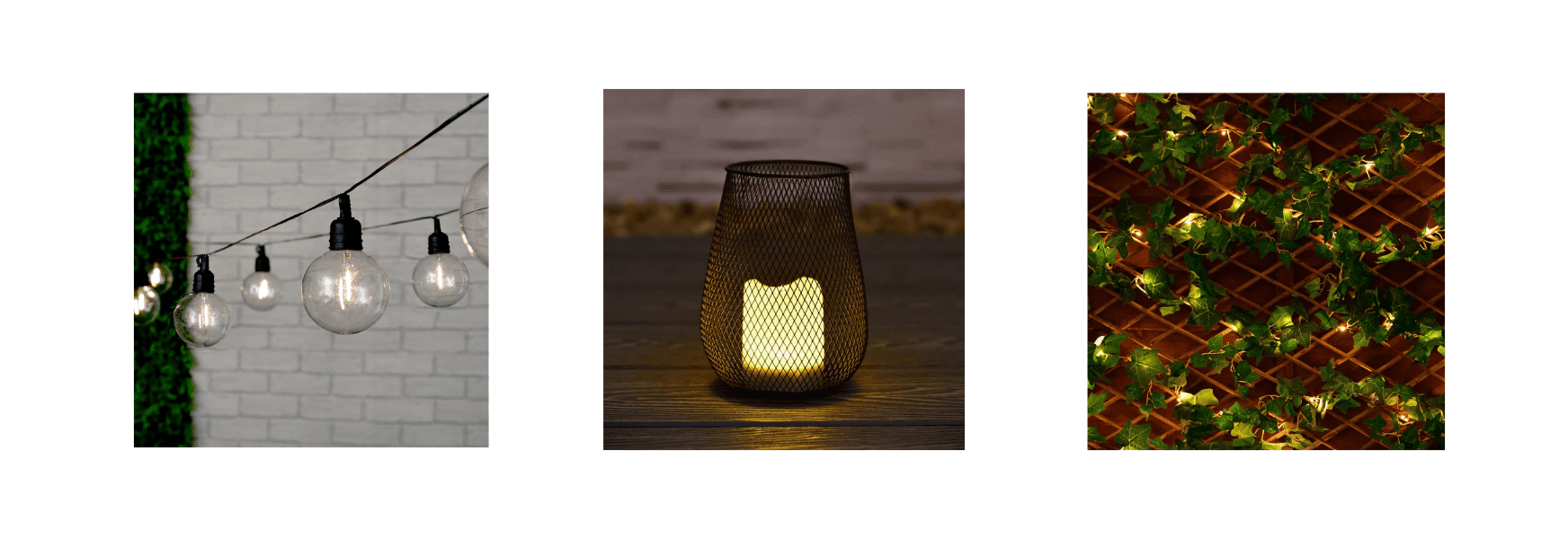 Transform Your Outdoor Space with B&M’s Botanical Garden Range