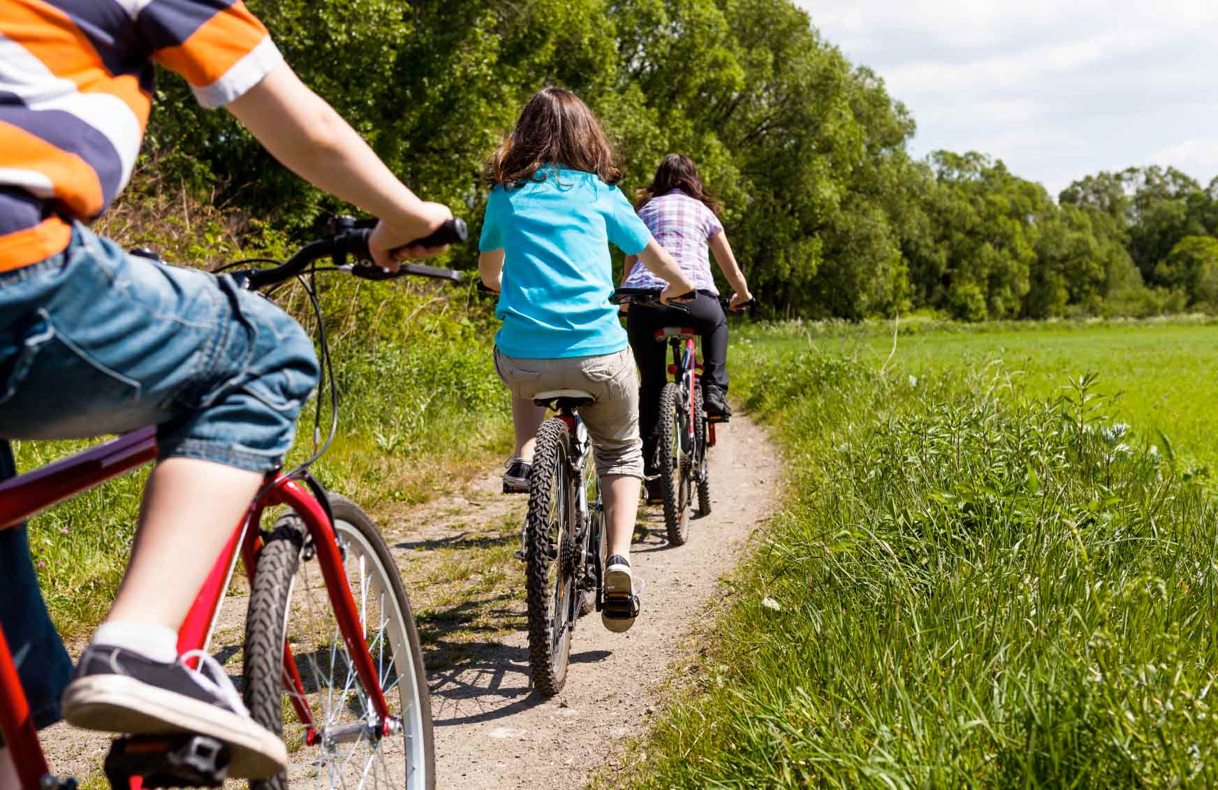 Top 5 Ways to Make Your Bank Holiday Memorable This Year | B&M