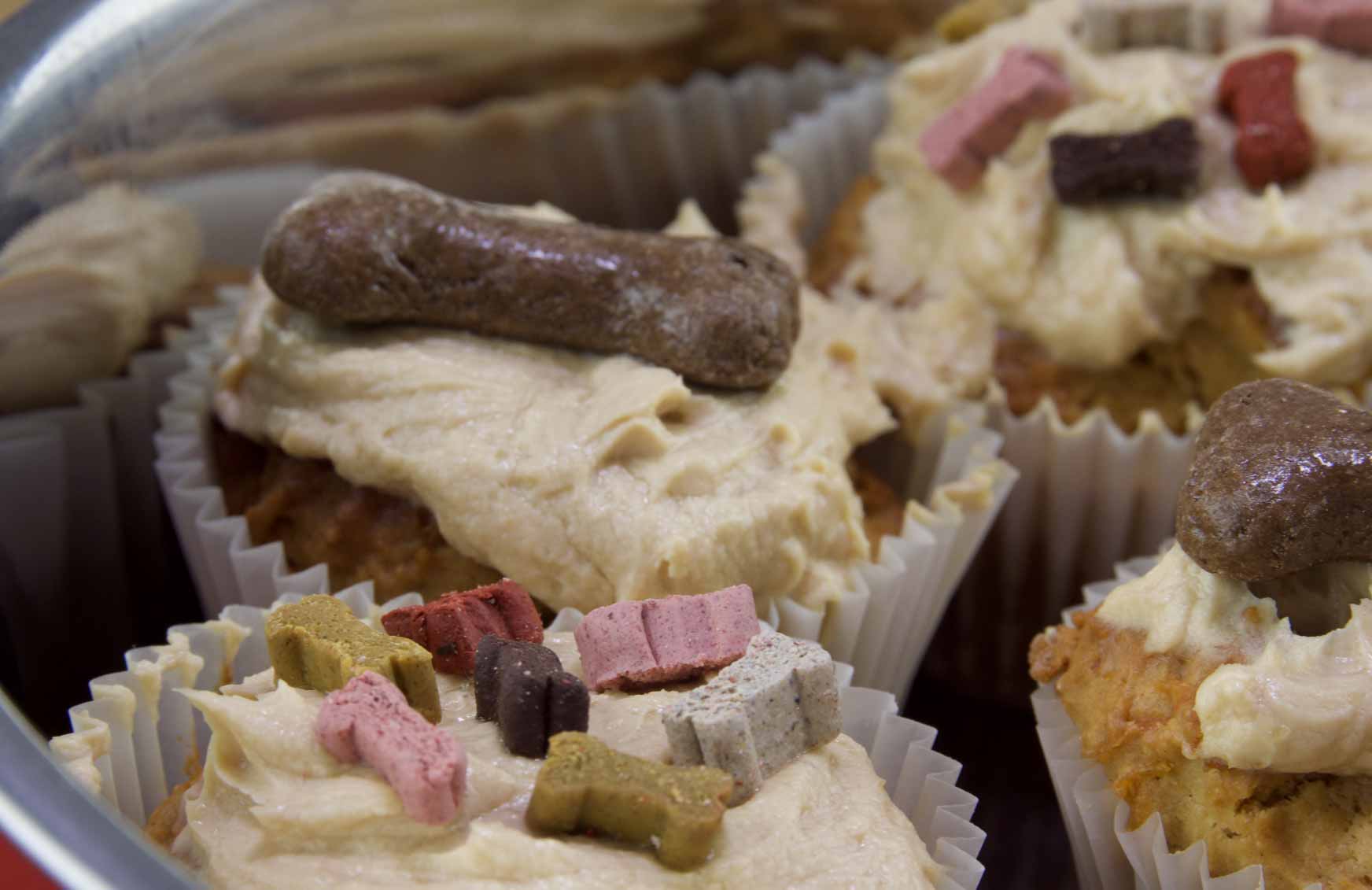 Recipe: Doggo Cupcakes