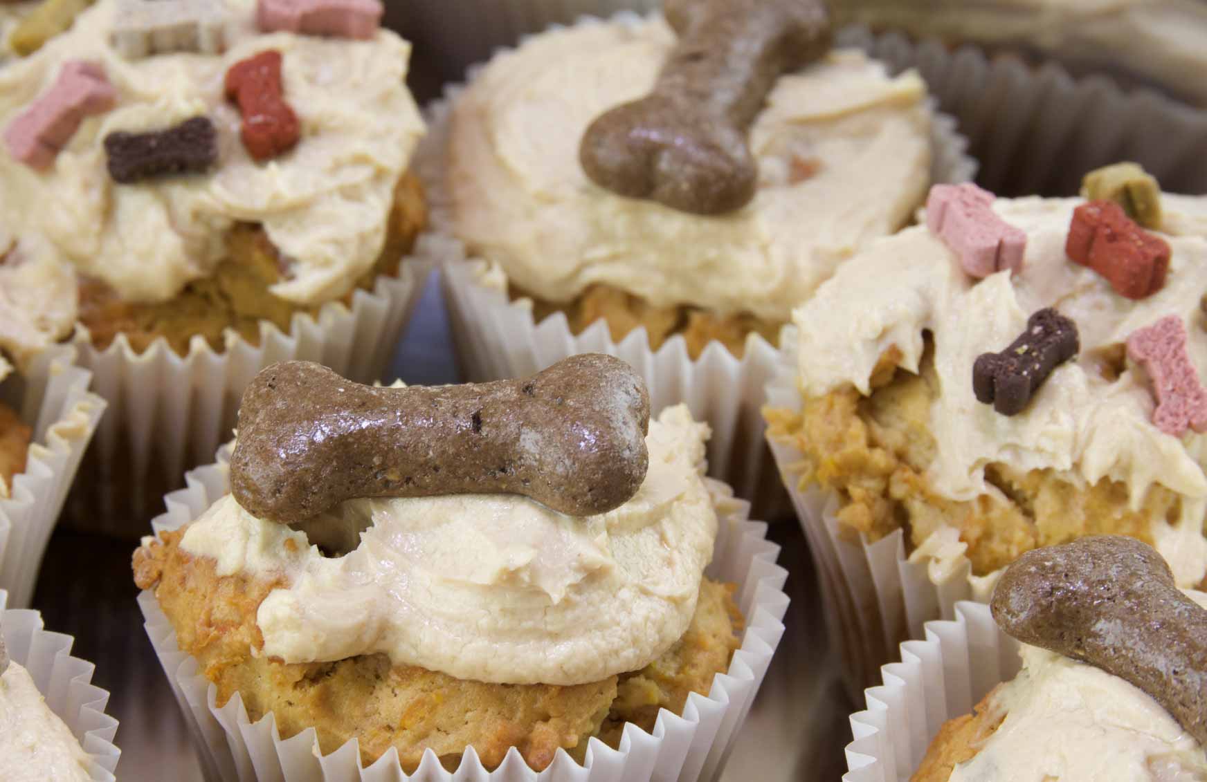 Recipe: Doggo Cupcakes