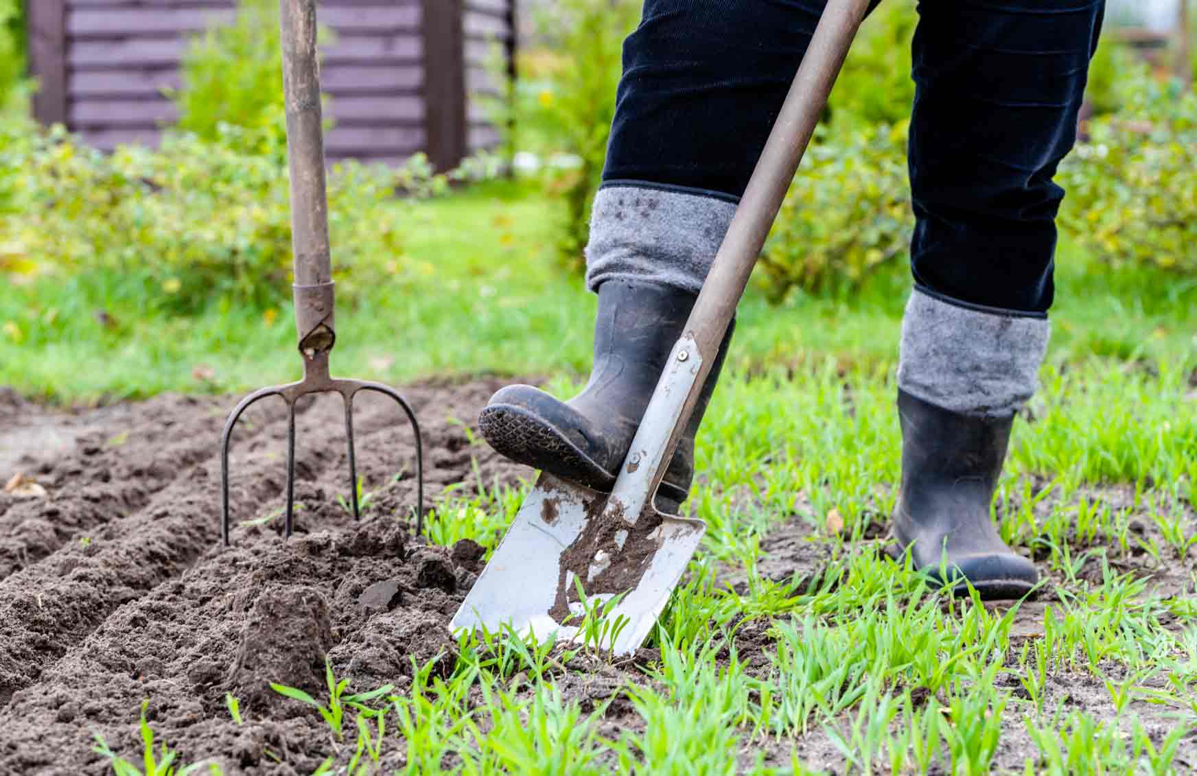 How to Prepare Your Garden for Spring l B&M Lifestyle