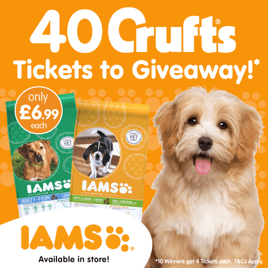 WINNER ANNOUNCEMENT - FORTY Crufts Tickets to Giveaway, Courtesy of ...