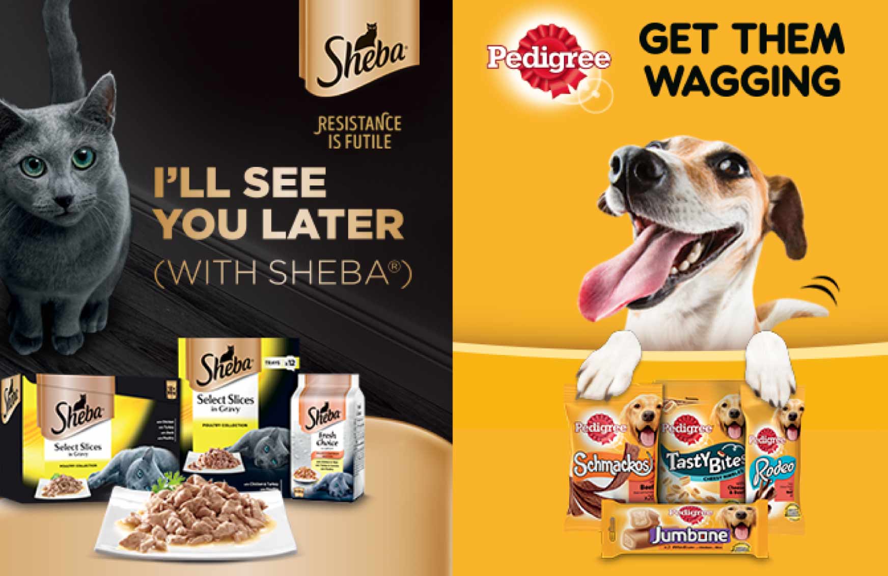 UK's Most Popular Dog & Cat Names: Does Your Pet Make the List? | B&M