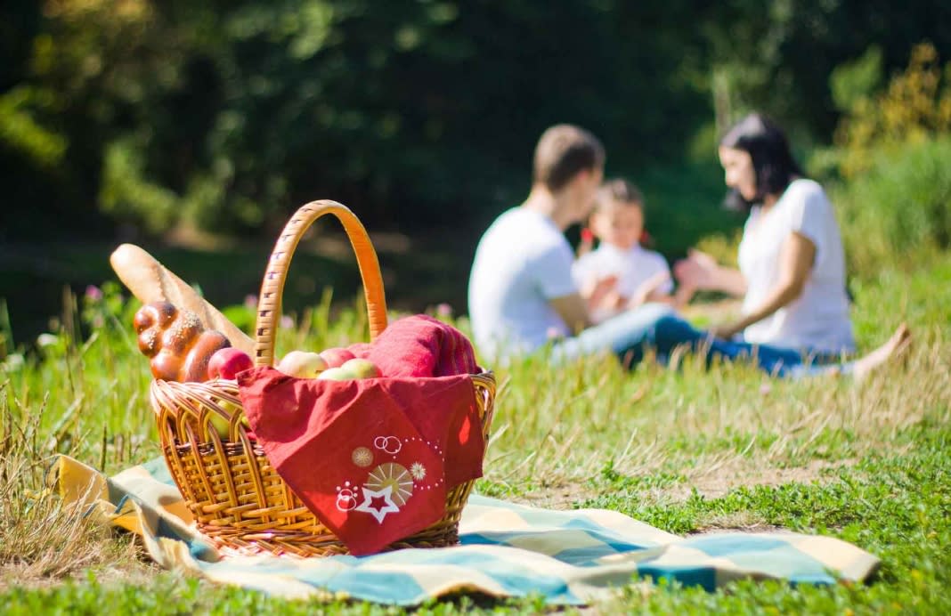5 Simple & Delicious Picnic Recipes | Blogs & Recipes - B&M Stores