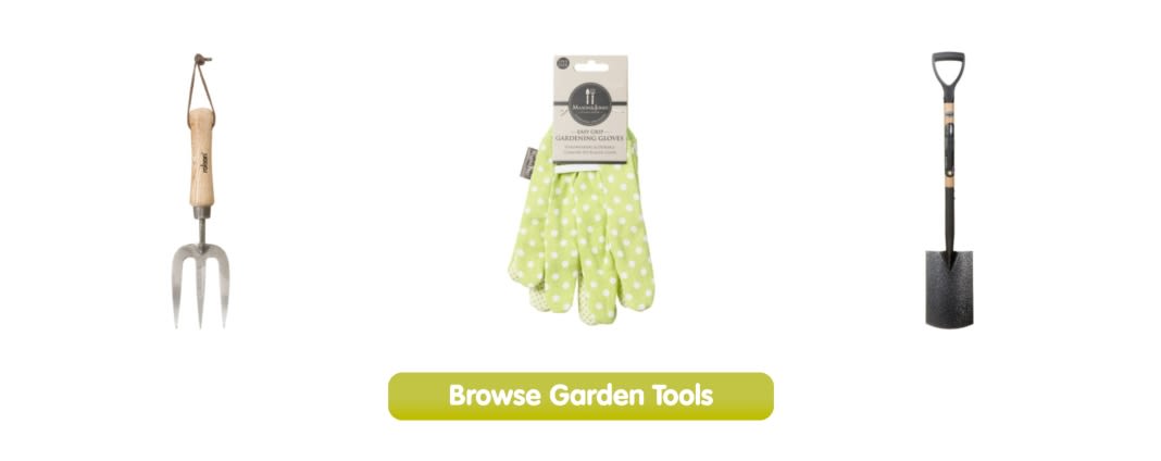 Get Ready for Spring: 4 Simple Tips for Preparing Your Garden | B&M