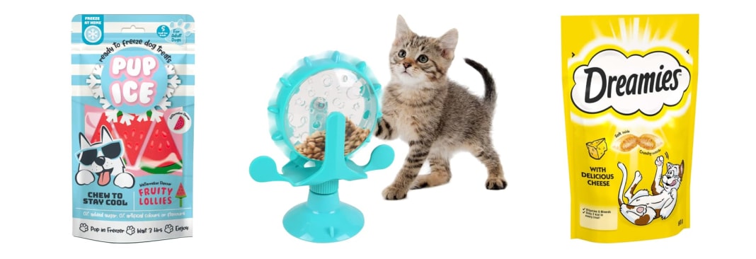 Stock Up on All the Pet Products You Need With B&M's Pet Event | B&M