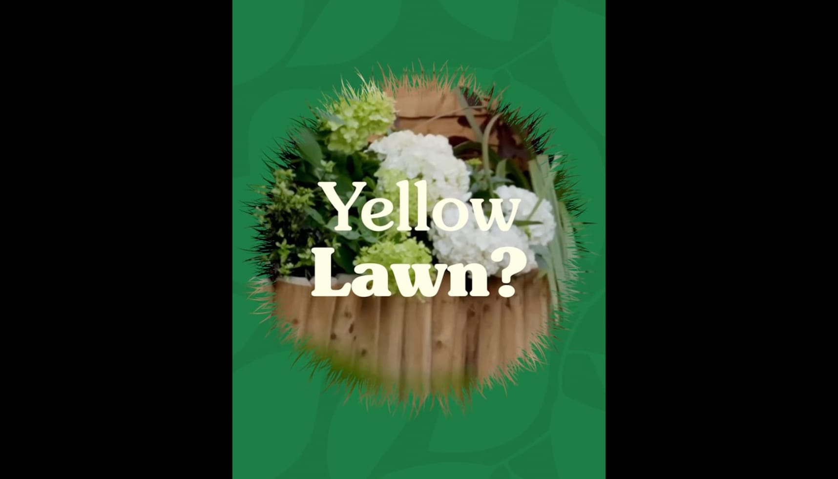 Westland Ultra Green Feed & Conditioner | Garden | B&M