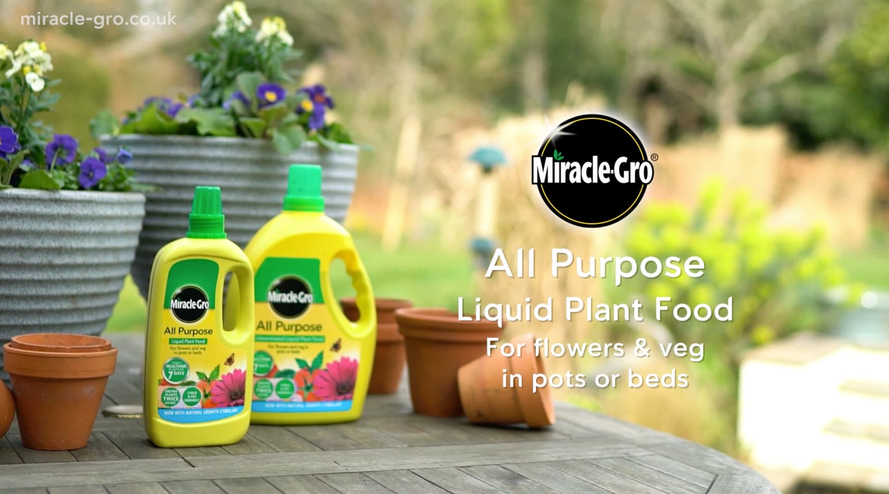 Miracle-Gro All-Purpose Concentrated Liquid Plant Food 800ml | B&M