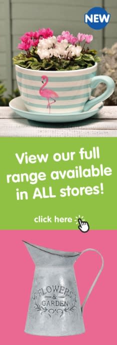 Cheap Planters & Plant Pots - Garden Centre Deals at B&M