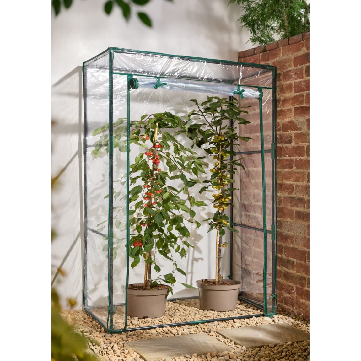 Rolson Grow House | Garden Care and Growing | B&M