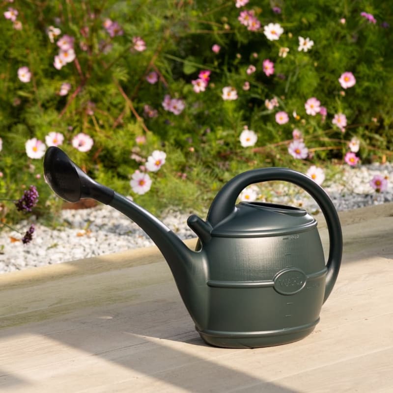 Ward Watering Can with Rose 10L | Garden Centre | B&M
