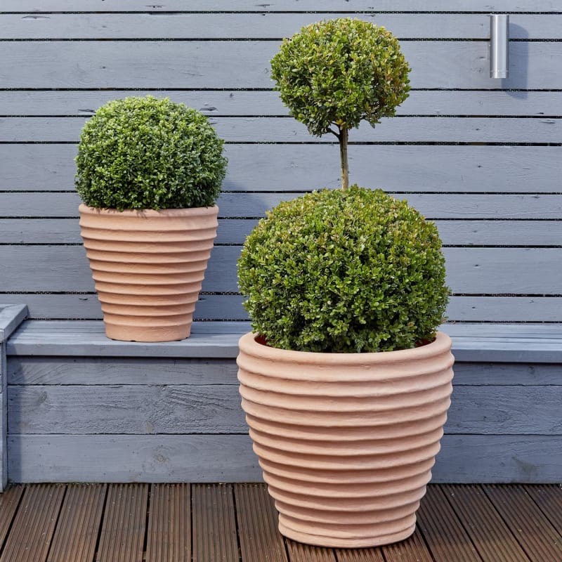 Moroccan Planter | Garden Centre | Planters - B&M Stores