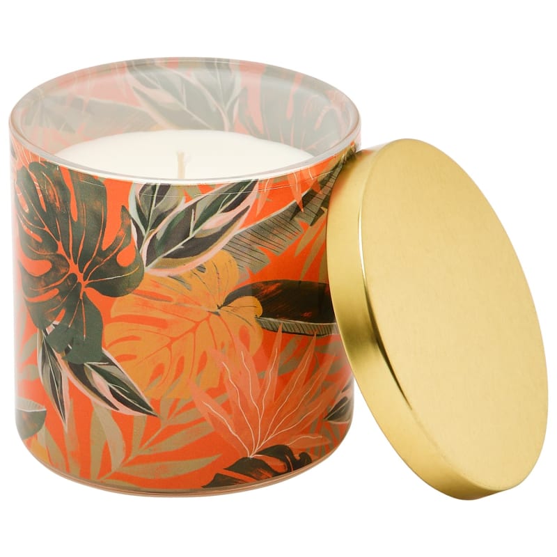 B&M Garden Spring/Summer 2023 | Super Bloom Sun p36-37 | B&M Lifestyle