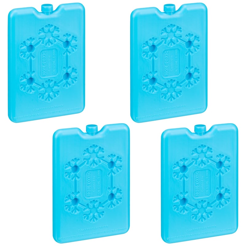 Freezer Blocks 4pk | Picnic | B&M
