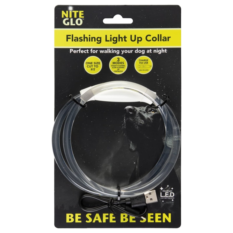 Flashing USB Dog Collar | Dog Collar | B&M