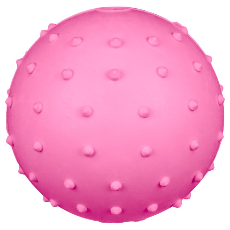 Puppy Rubber Toy 3pk - Pink | Dog Toys | B&M Stores