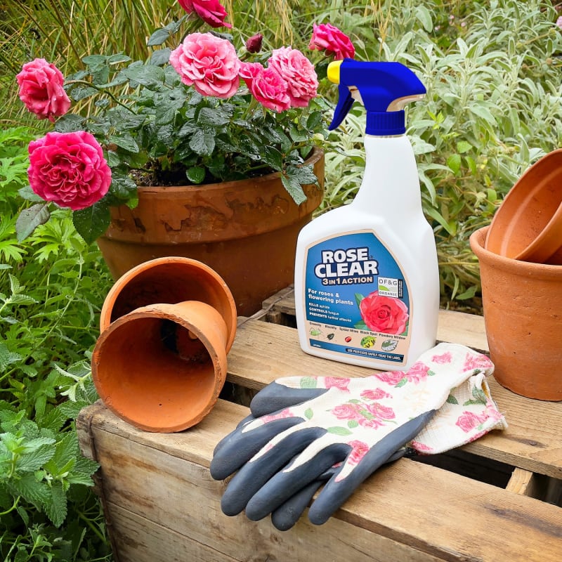 Rose Clear 3-in-1 Action Ultra Gun 800ml | Garden | B&M