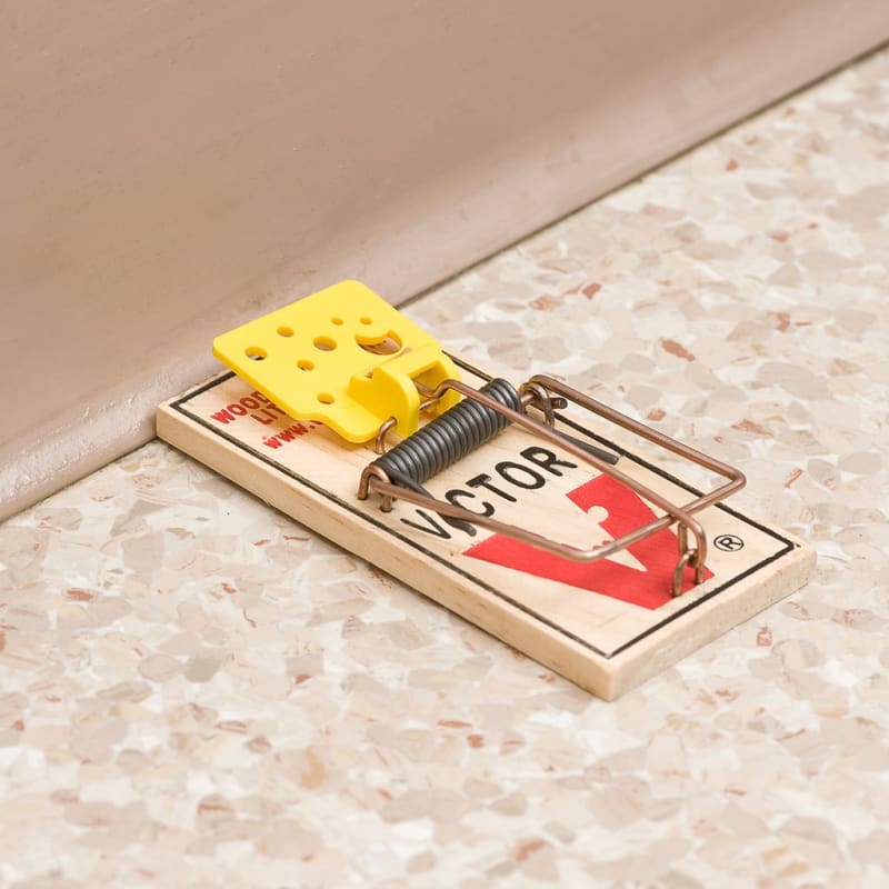 Deadfast Easy Set Mouse Trap 2pk | Garden Chemicals - B&M Stores
