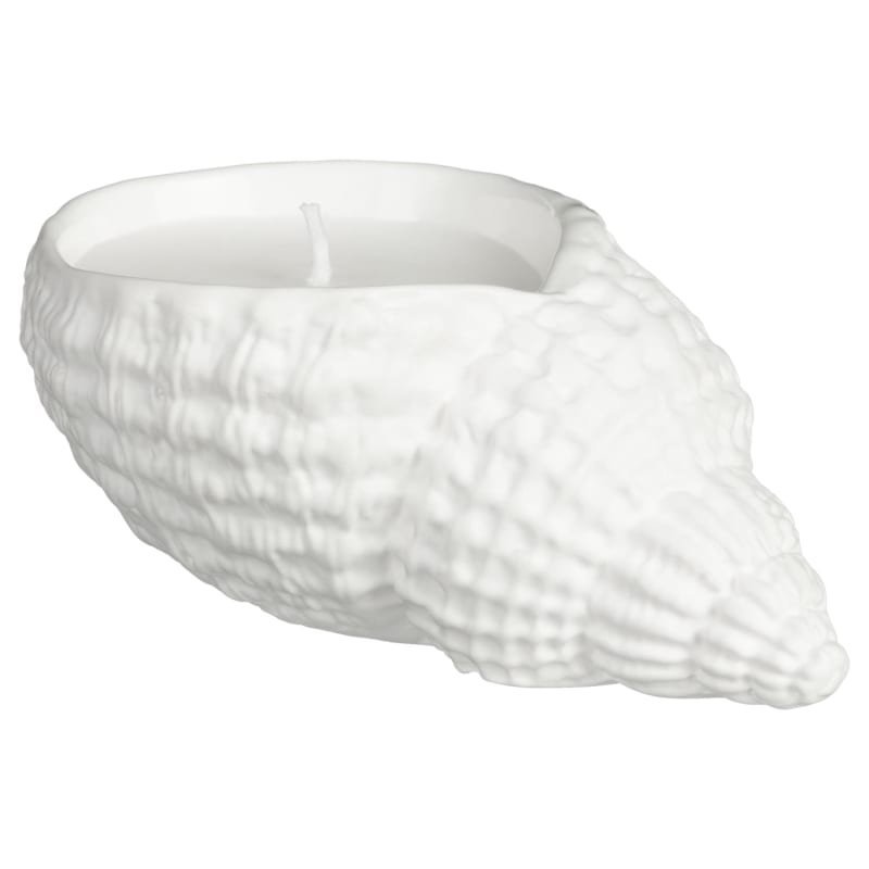Conch Shell Candle | Candles & Diffusers | B&M
