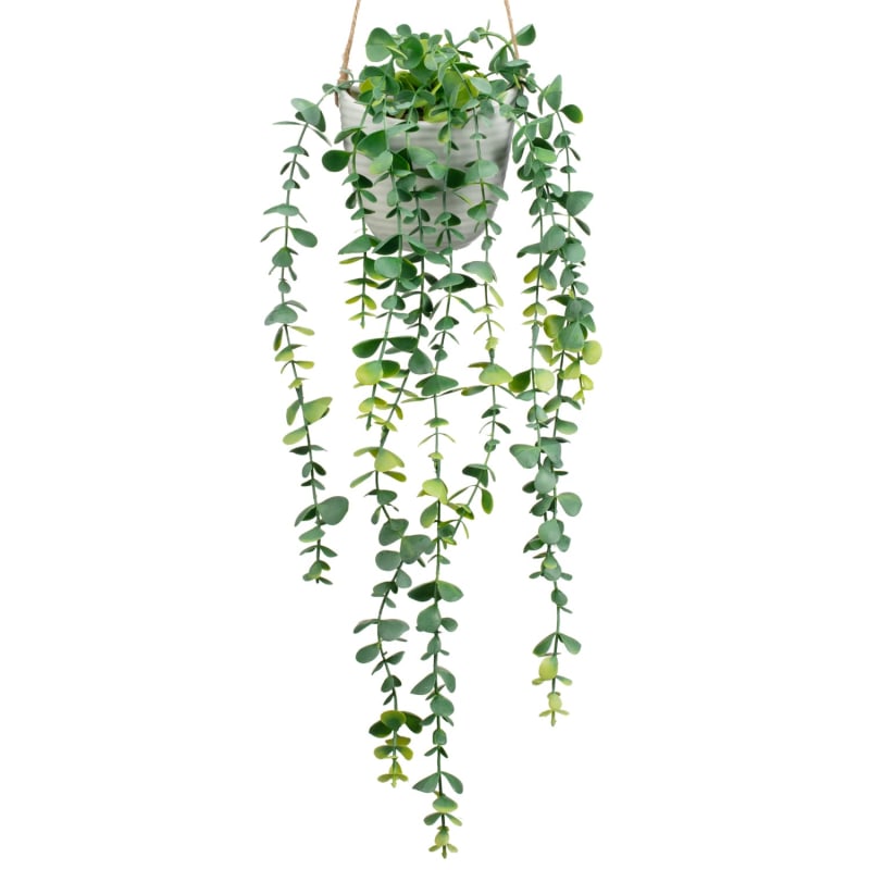 Hanging Trailing Plant in Ceramic Pot | Artificial Plants | B&M