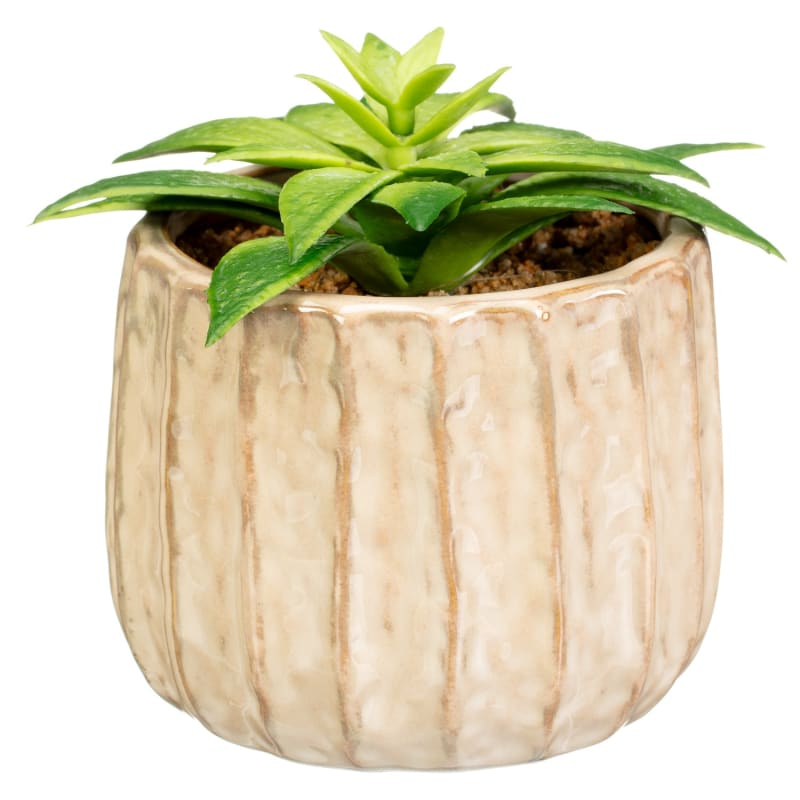 Foliage in Ribbed Pot | Artifical Flowers | B&M Stores