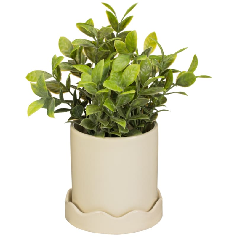 Foliage in Pot with Scalloped Edge Tray | Artifical Flowers | B&M