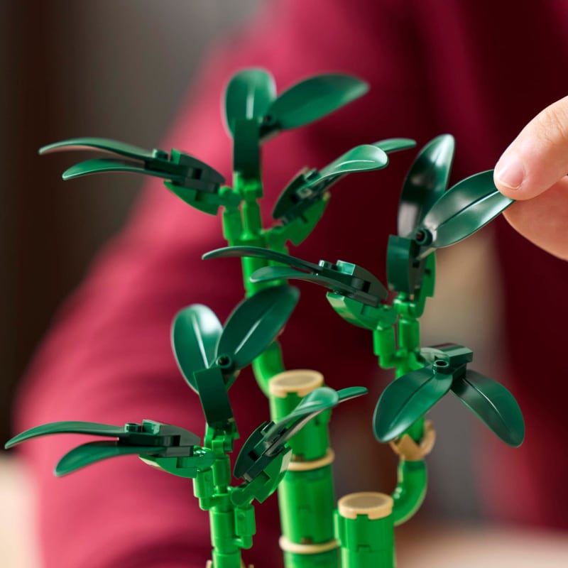 LEGO Botanical Lucky Bamboo 10344 | LEGO | B&M