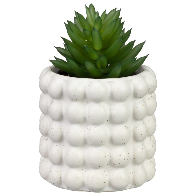 Succulent In Bubble Vase - White | Decorative Accessories | B&M