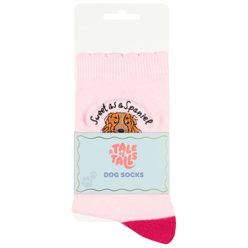 A Tale of Tails Dog Socks | Seasonal Gifts | B&M