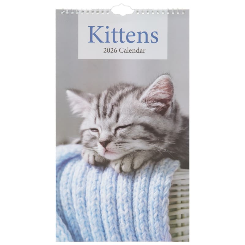 Midi Animal Calendar 2026 | Diaries & Calendars | B&M