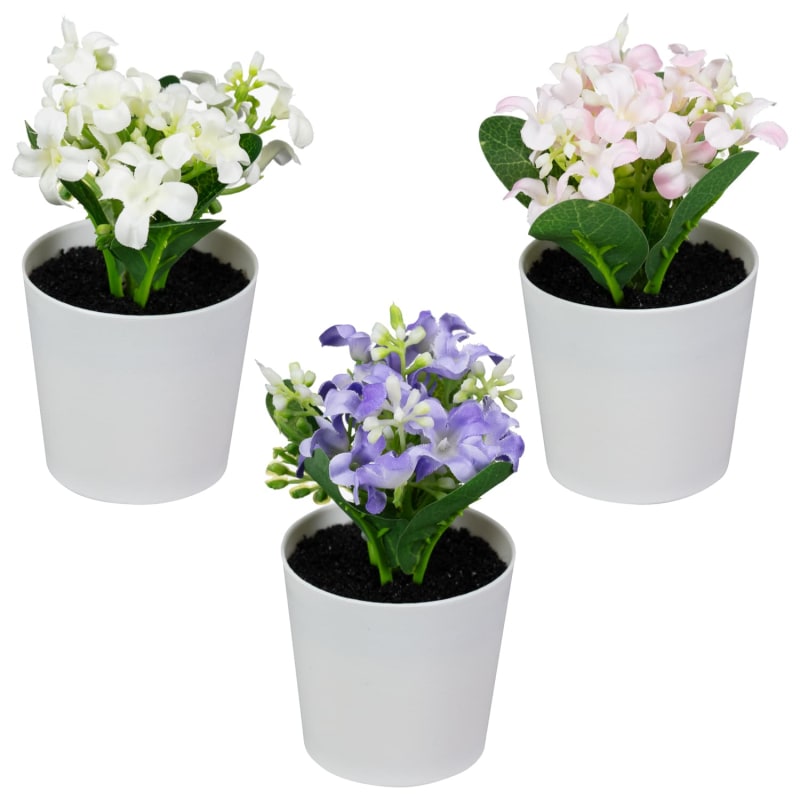 Small Flowers in Plastic Pot - Pink | Decorative Accessories | B&M