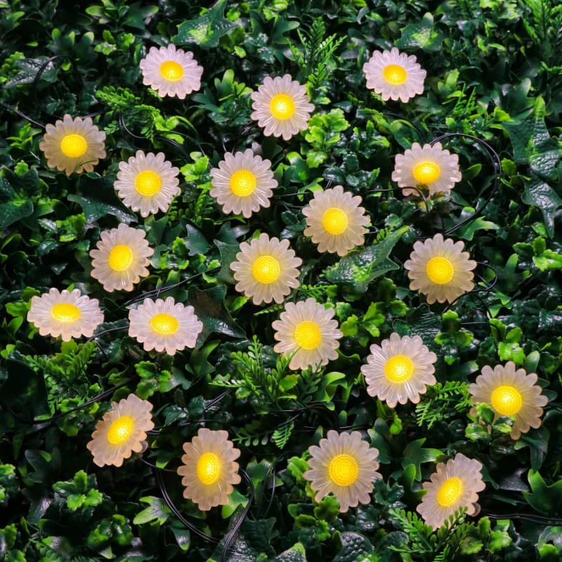 Solar Powered 20 Daisy String Lights | Garden | B&M
