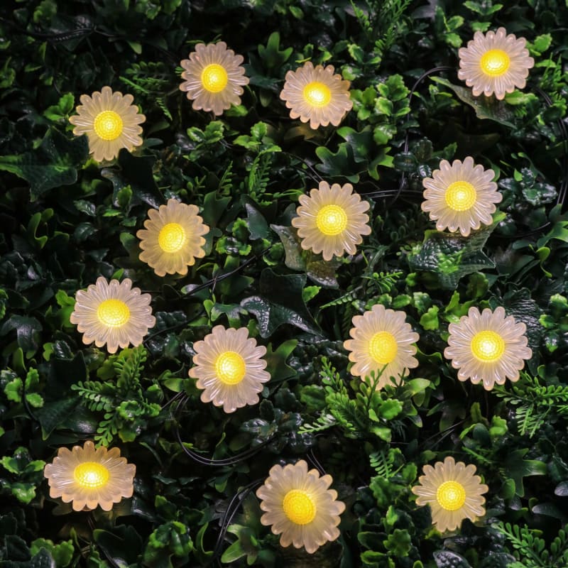 Solar Powered 20 Daisy String Lights | Garden | B&M