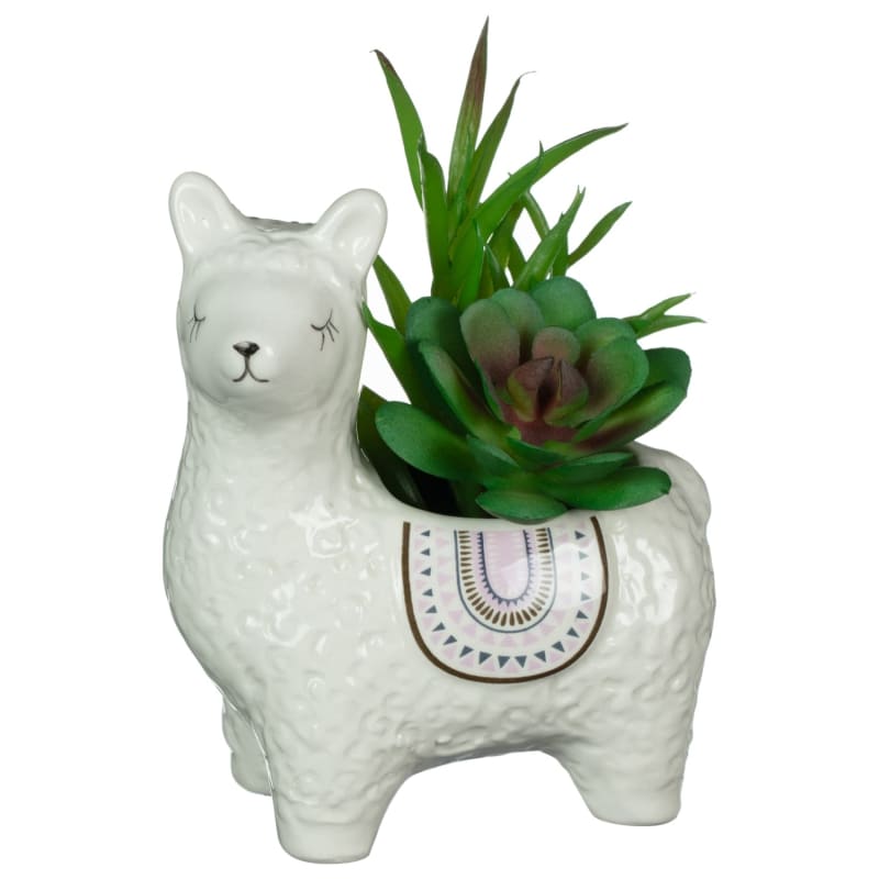 Alpaca Succulent | Vases & Artificial Flowers | B&M
