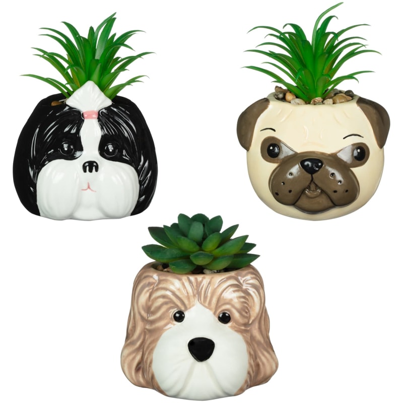Novelty Dog Succulent - Pug | Vases & Artificial Plants | B&M