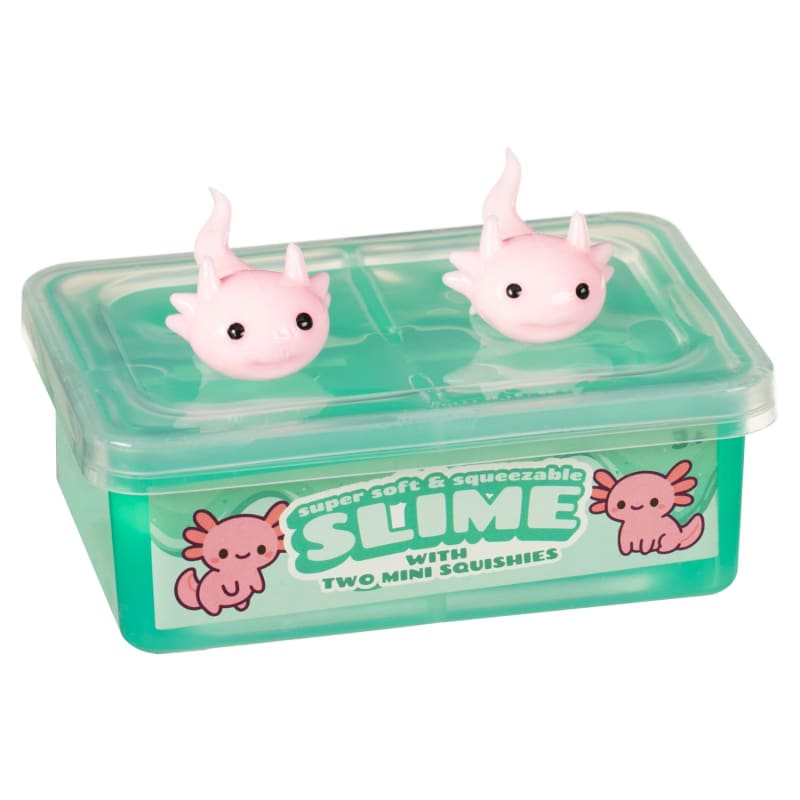 Supersoft Animal Slime with 2 Mini Squishies | Arts & Crafts | B&M