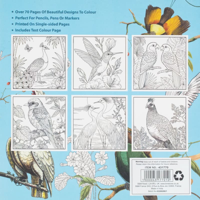 Square Colouring Book - Birds | Arts & Crafts | B&M