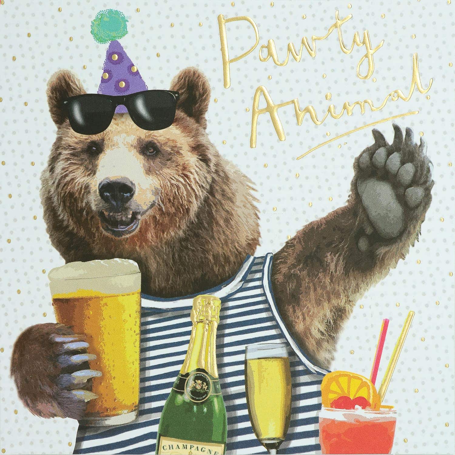 Party Animal Greetings Card Cards B M Party Animal Greetings Card Cards B M