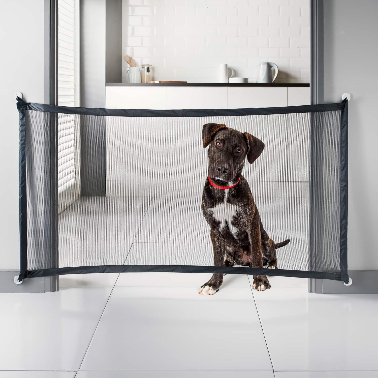 Mesh Dog Guard Gate Buy Cheap Pet Accessories At B M Stores Mesh Dog Guard Gate Buy Cheap Pet Accessories At B M Stores
