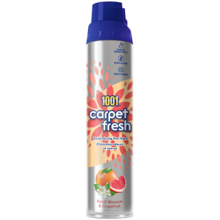 1001 Carpet Care & Cleaner - B&M
