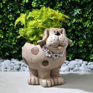 Page 11 | New Arrivals | Latest Products | B&M